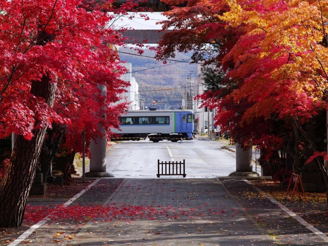 〈PR〉JRで道北ぶらり旅 ズウさんが誘う鉄道の旅～丸瀬布＆北見の湯を楽しむ＜石北本線編＞ - TripEat北海道
