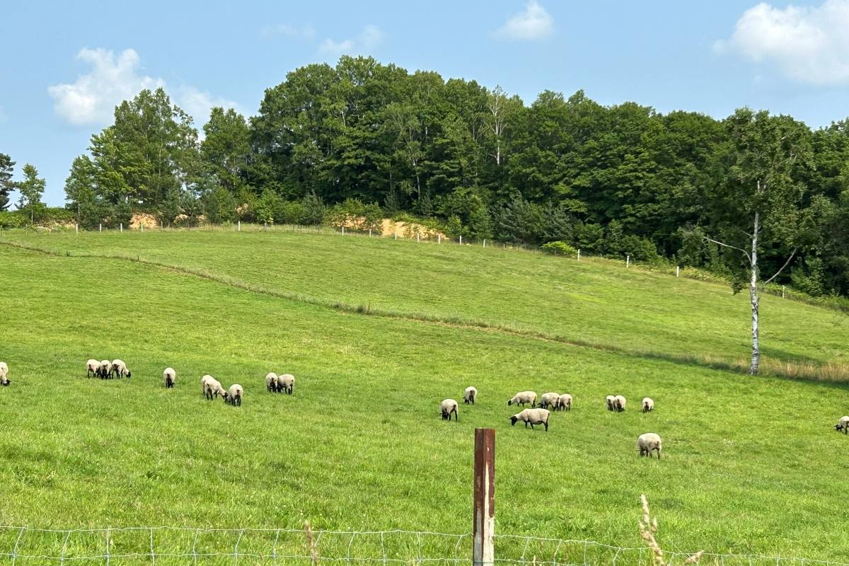 編集長のご褒美女子旅 2023 vol.3 道北編㊦最北のワイナリーを訪れ、地元産絶品羊肉とビールを楽しむ - TripEat北海道