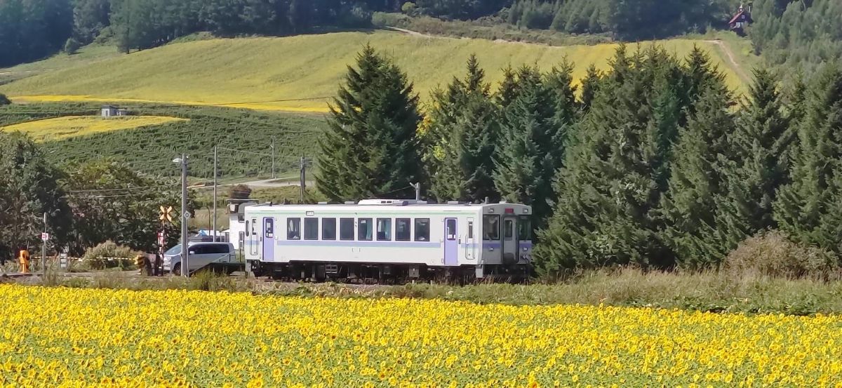 〈PR〉JRで道北ぶらり旅 ズウさんが誘う鉄道沿線の旅～旭川＆富良野＆美瑛を味わう＜富良野線編＞ - TripEat北海道