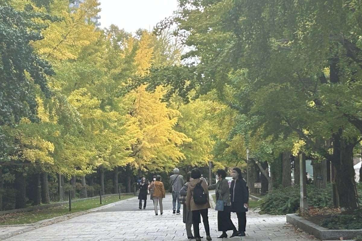 〝秋の味覚〟サツマイモを食べ比べ 「さっぽろ焼き芋テラス2023」開幕 11/5まで、札幌・中島公園で - TripEat北海道