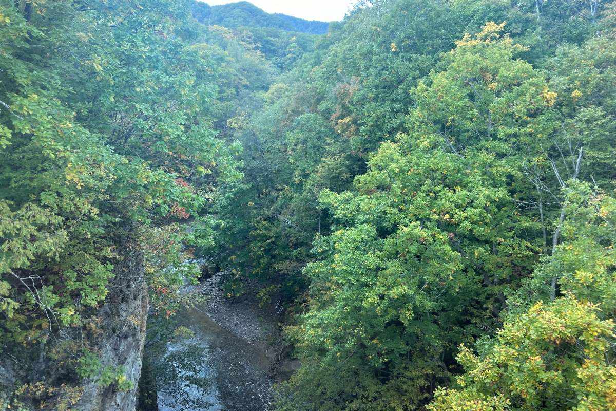 紅葉はもうピーク！ 札幌の名所・定山渓を再訪〈10/12〉～山頂は真っ盛り、温泉街もまもなく見ごろ - TripEat北海道