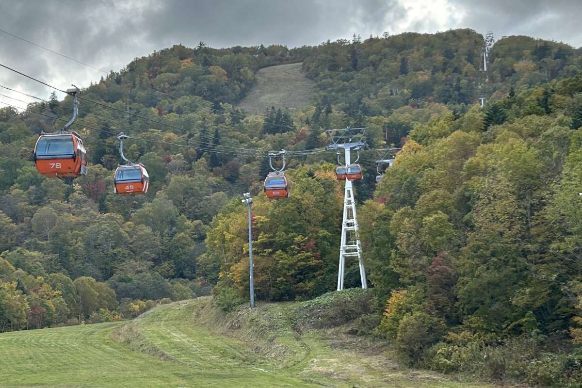 紅葉はもうピーク！ 札幌の名所・定山渓を再訪〈10/12〉～山頂は真っ盛り、温泉街もまもなく見ごろ - TripEat北海道