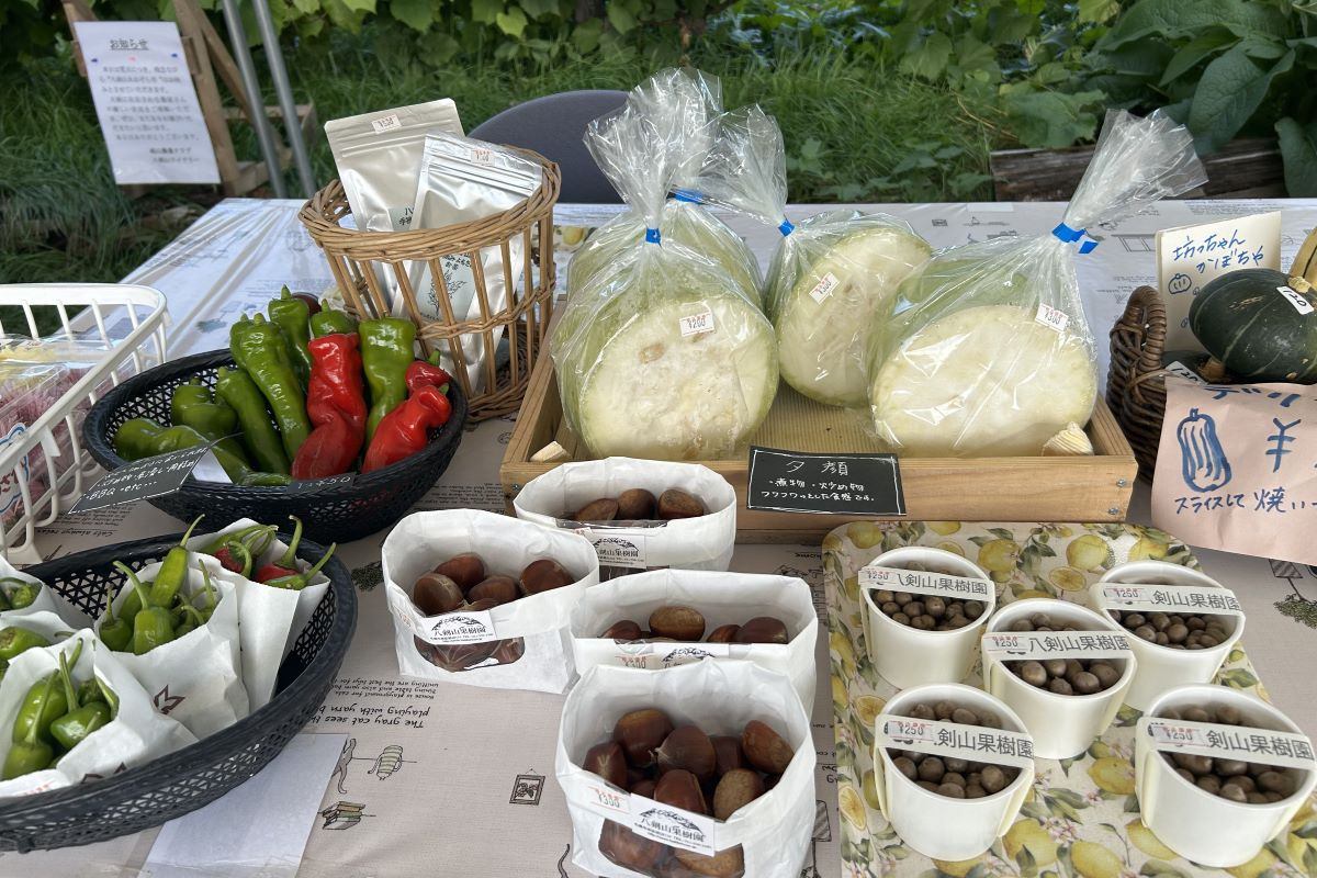 紅葉はもうピーク！ 札幌の名所・定山渓を再訪〈10/12〉～山頂は真っ盛り、温泉街もまもなく見ごろ - TripEat北海道