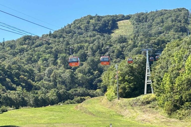 紅葉はもうピーク！ 札幌の名所・定山渓を再訪〈10/12〉～山頂は真っ盛り、温泉街もまもなく見ごろ - TripEat北海道