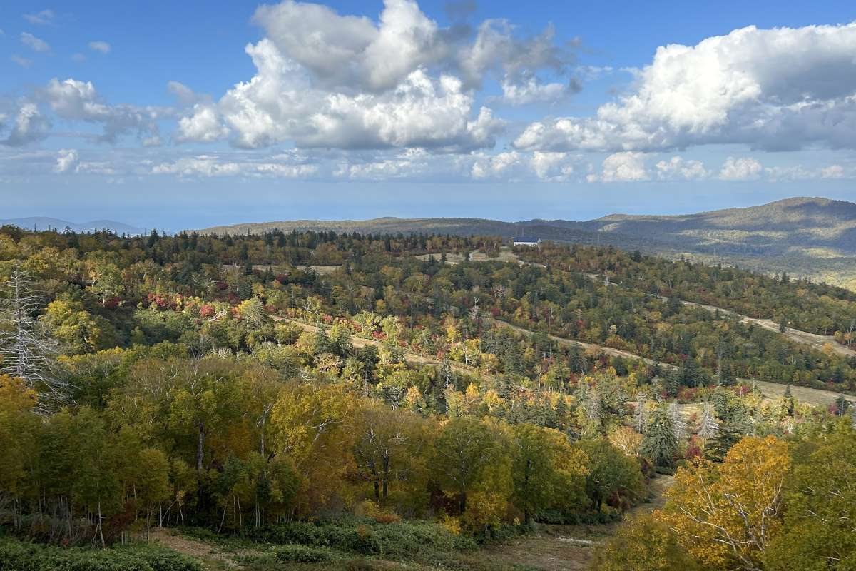 紅葉はもうピーク！ 札幌の名所・定山渓を再訪〈10/12〉～山頂は真っ盛り、温泉街もまもなく見ごろ - TripEat北海道