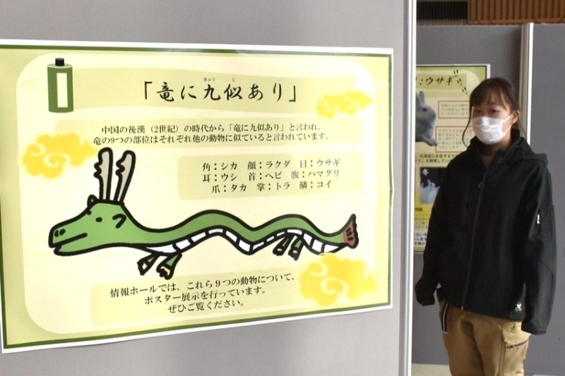 「辰」にちなむ9生物紹介 札幌・円山動物園で「干支展」
