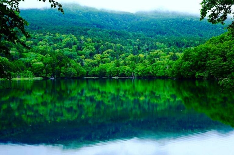 足寄町観光を楽しむ！地元おすすめ10のポイント㊤雄大な自然の中でアウトドア、秘湯を訪ねる＜北海道まち巡り＞ - TripEat北海道