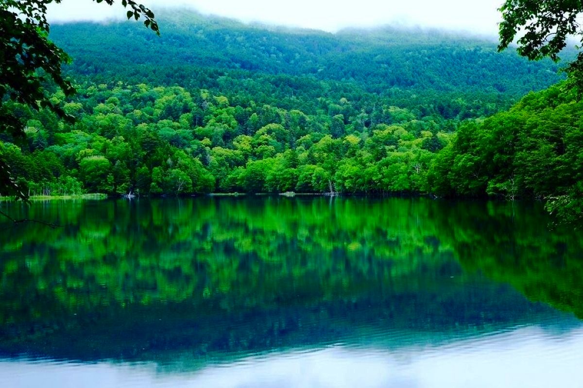 足寄町観光を楽しむ！地元おすすめ10のポイント㊤雄大な自然の中でアウトドア、秘湯を訪ねる＜北海道まち巡り＞ - TripEat北海道