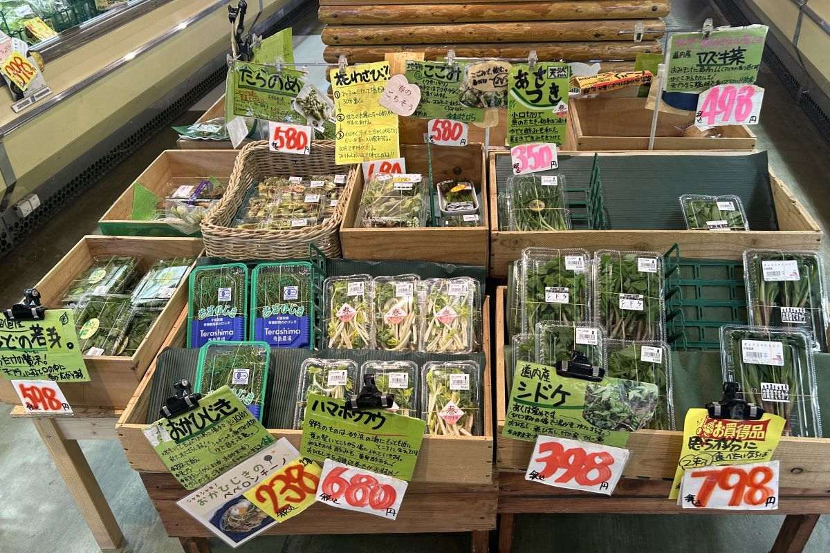 札幌･円山公園散策をさらに楽しく！ 立ち寄りたい周辺おすすめスポット5選 - TripEat北海道