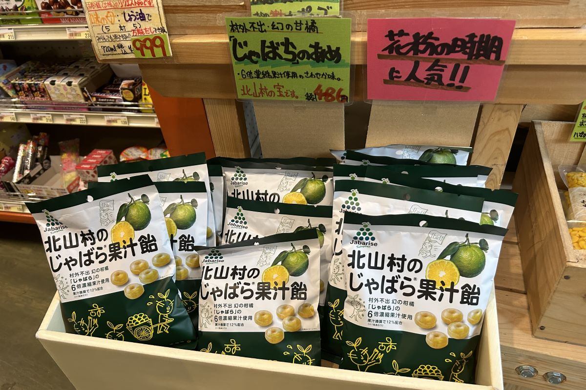 札幌･円山公園散策をさらに楽しく！ 立ち寄りたい周辺おすすめスポット5選 - TripEat北海道