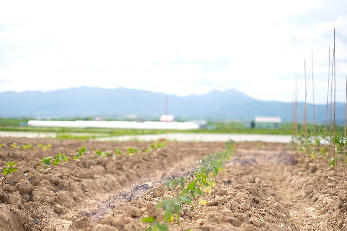 SHIRO｢みんなの工場｣でカフェやお買い物も楽しむ～見学できる北海道のコスメ工場巡り㊦ - TripEat北海道