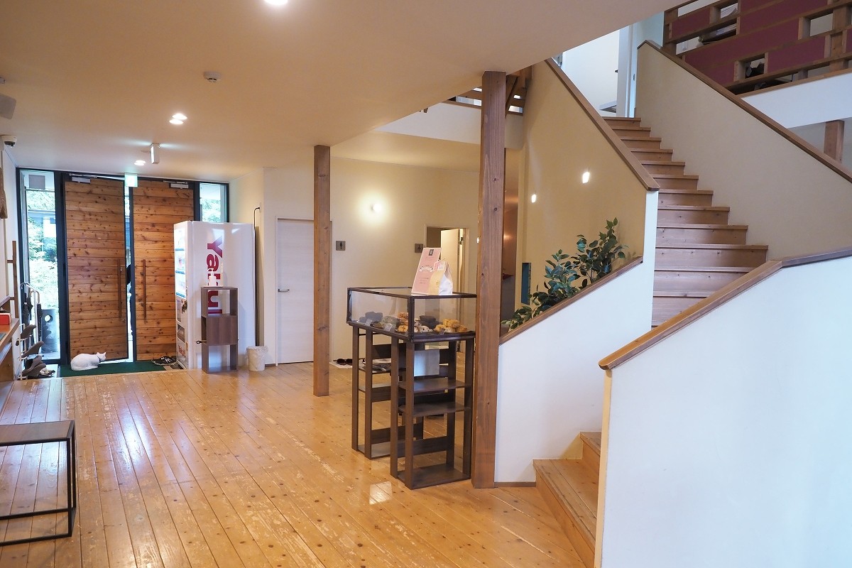 温泉を楽しみ、｢看板猫｣とも会えたらうれしい！ 北海道の〝癒される〟温泉宿5選 - TripEat北海道