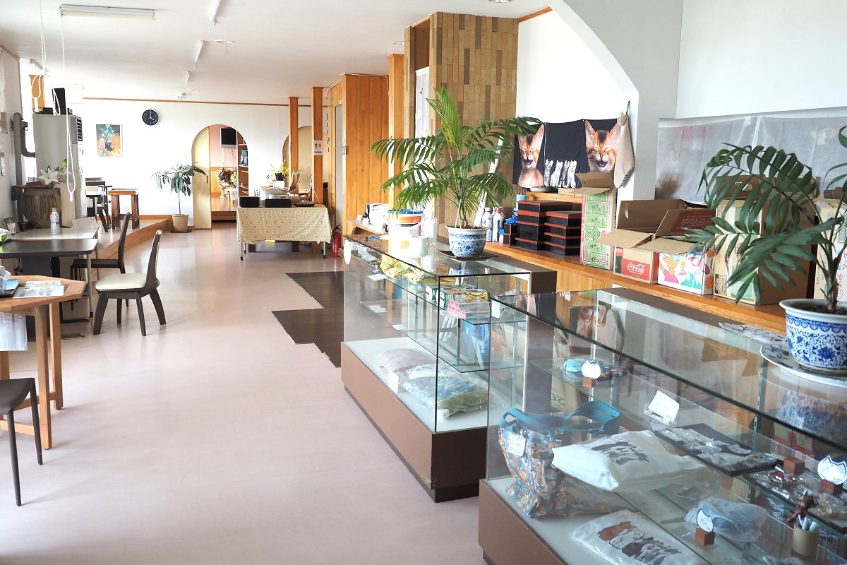 温泉を楽しみ、｢看板猫｣とも会えたらうれしい！ 北海道の〝癒される〟温泉宿5選 - TripEat北海道